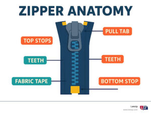 The Perfect Fit: A Step-by-Step Guide to Shortening Zippers - Lenzip ...